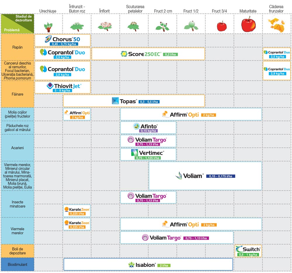 Schema de Tratament Mar | Produse Combatere Rapan, Fainare si Daunatori ...