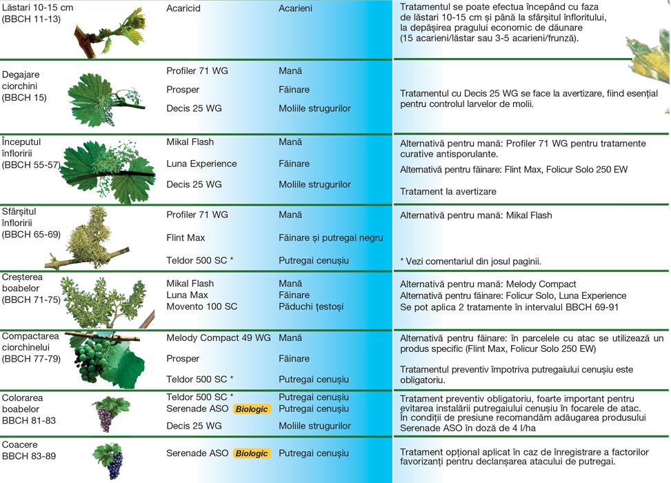 Schema de tratament vita de vie – Plantazia