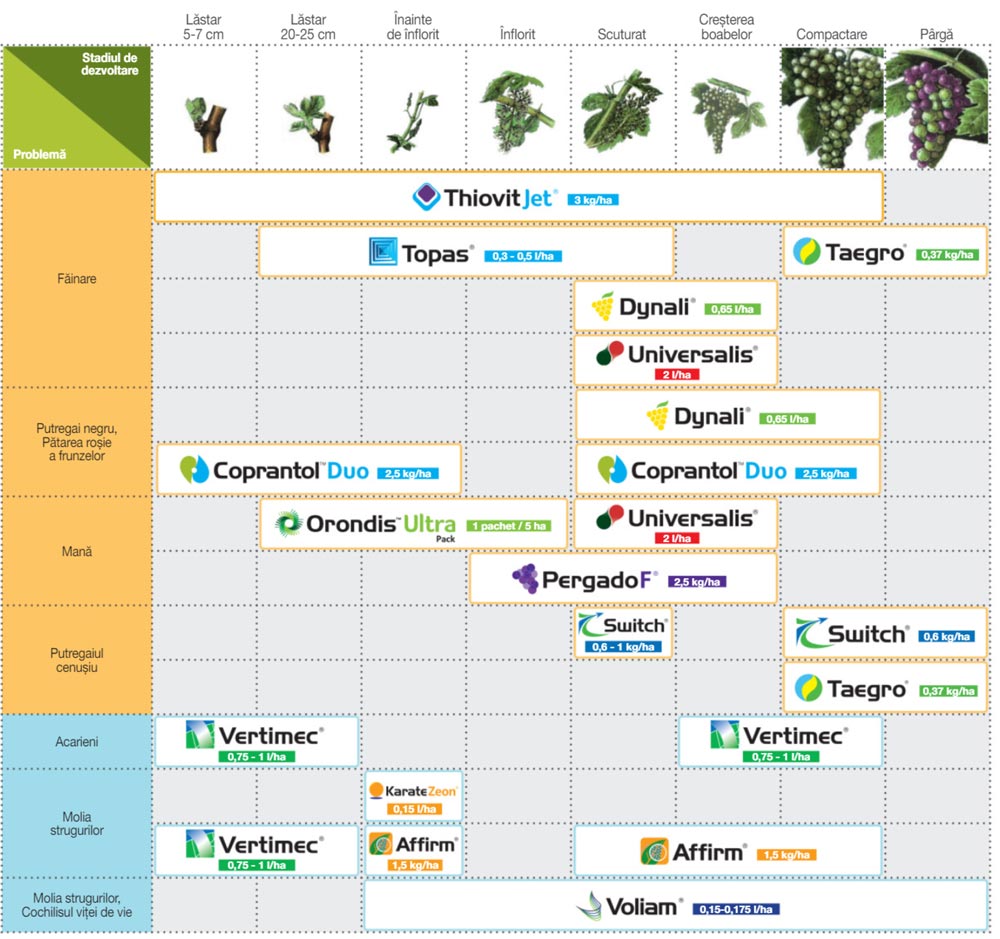 Schema de tratament vita de vie – Plantazia