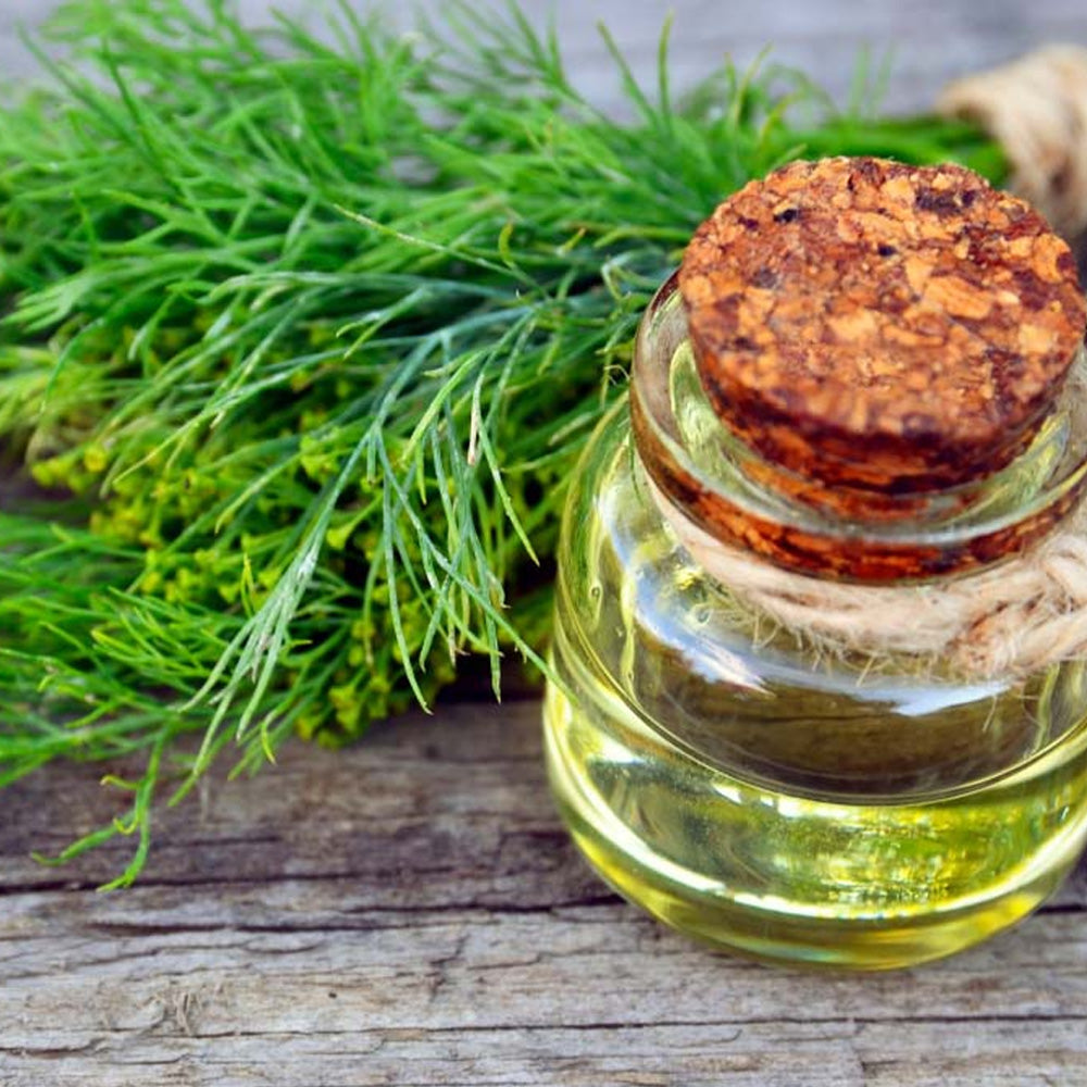 Seminte Marar 50g – Plantazia